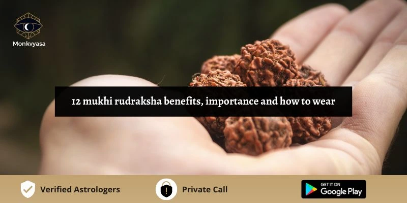 12 Mukhi Rudraksha Benefits, Importance And How To Wear | Monkvyasa