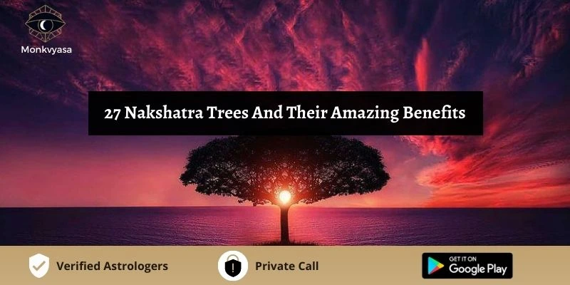 27 Nakshatra Trees And Their Amazing Benefits | Monkvyasa
