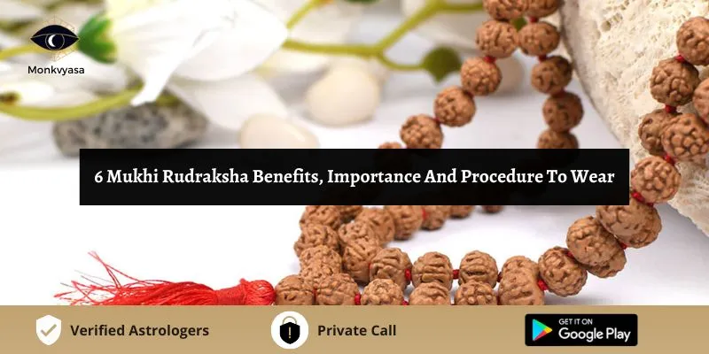 6 Mukhi Rudraksha Benefits, Importance And Procedure To Wear | Monkvyasa