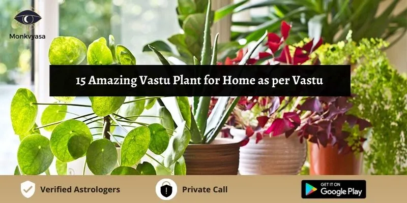 15 Amazing Vastu Plant For Home As Per Vastu | Monkvyasa